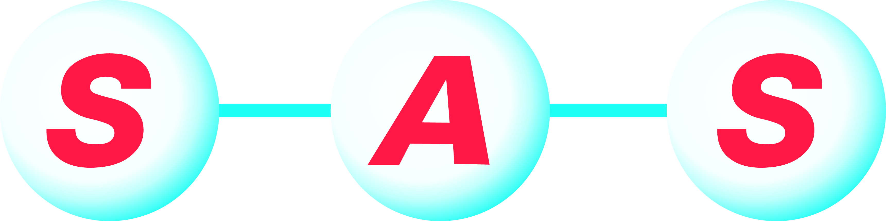 Best Companies | The SAS Group of Companies Limited Company Profile