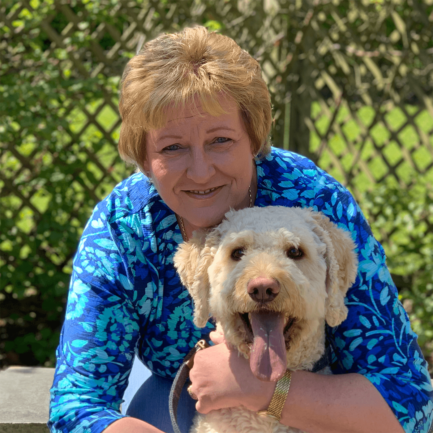 Best Companies | PDSA Company Profile