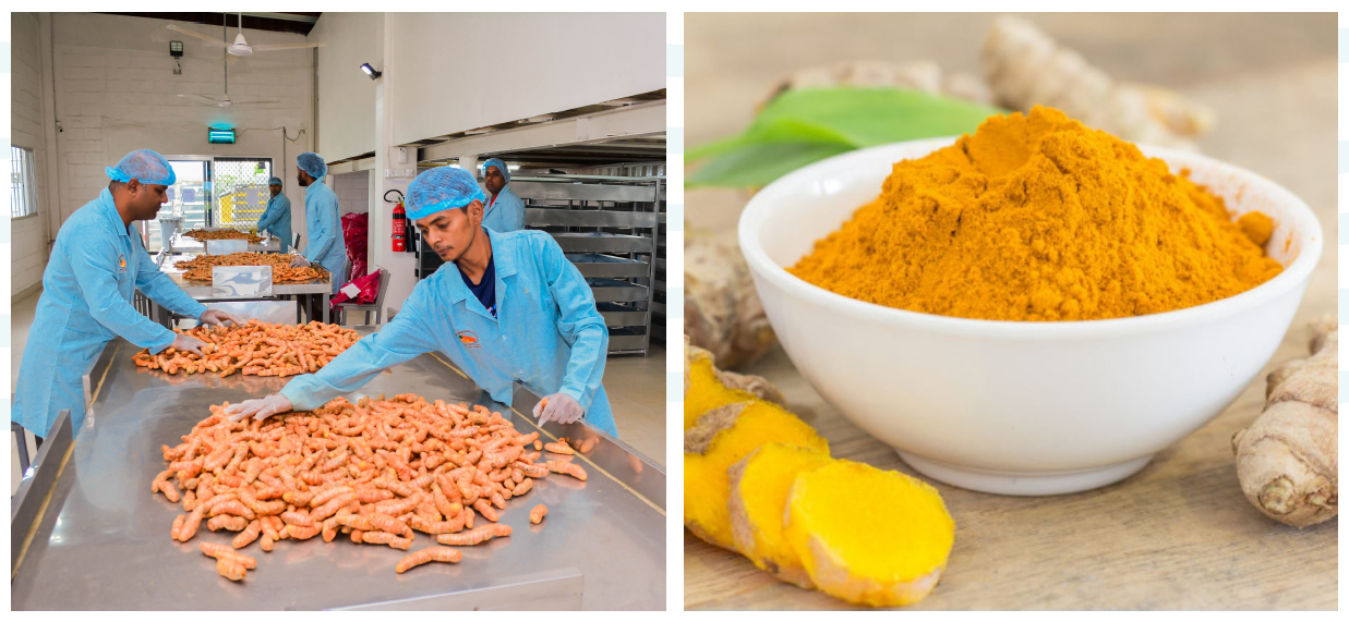 Ashwin Export & Import Plans New Products