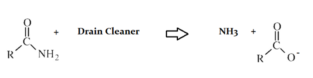 Carbohydrates on the MCAT: Things to Know | Inspira Advantage