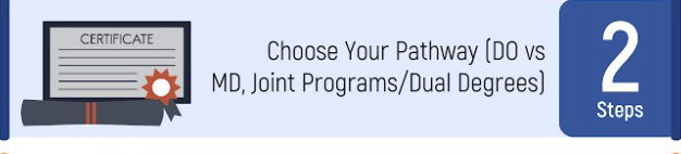 How To Get Into Medical School: Step By Step Guide (2024)