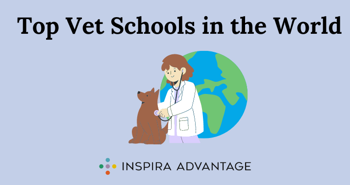 Best Vet Schools in the World: The Ultimate Guide