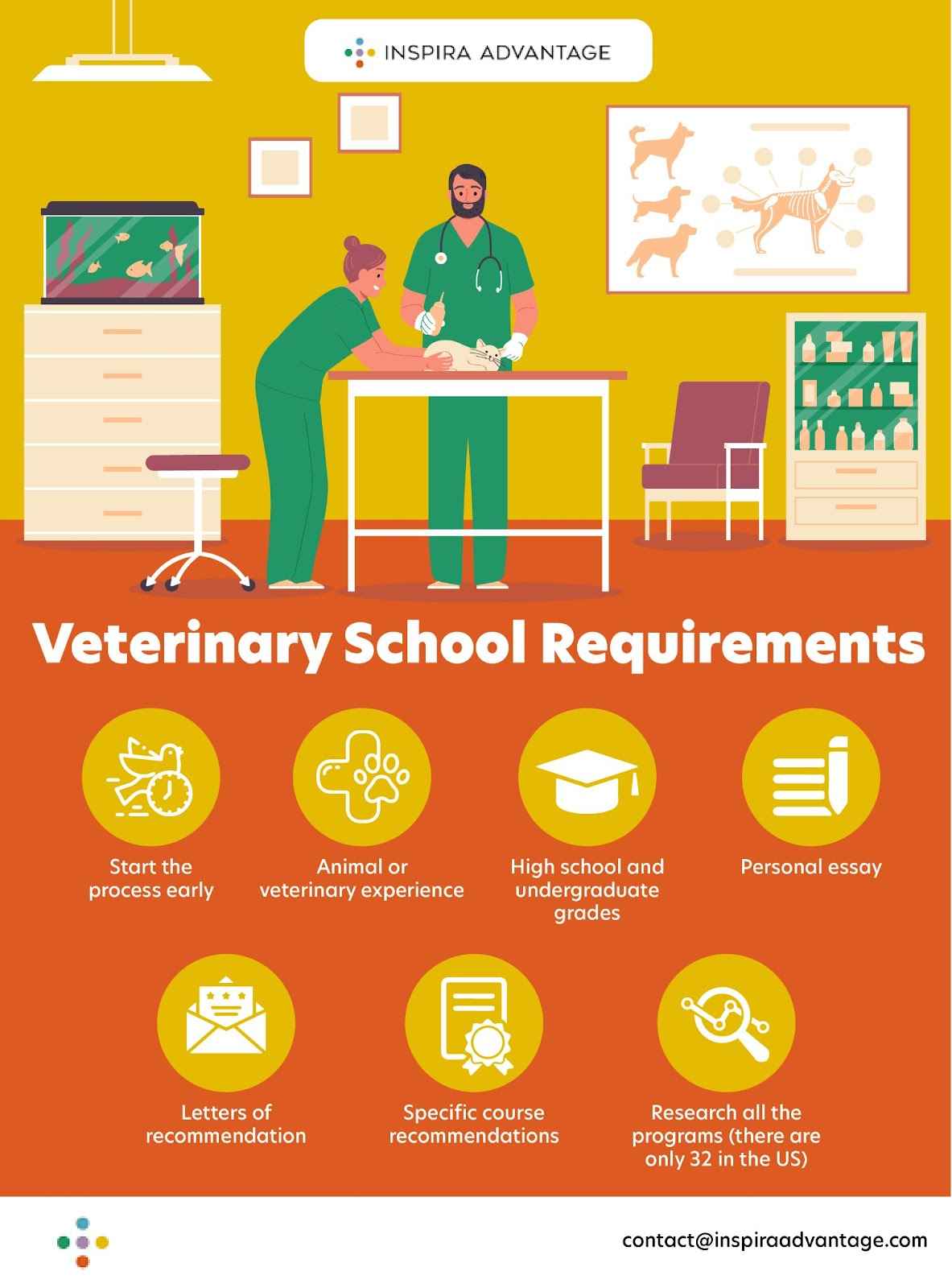 How Hard Is It To Get Into Vet School? An In-Depth Look