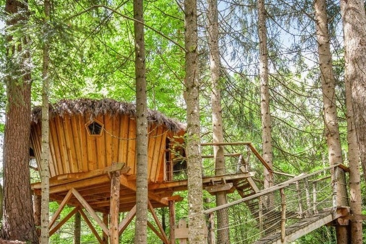 Cabane dans la forêt : nos coups de cœur