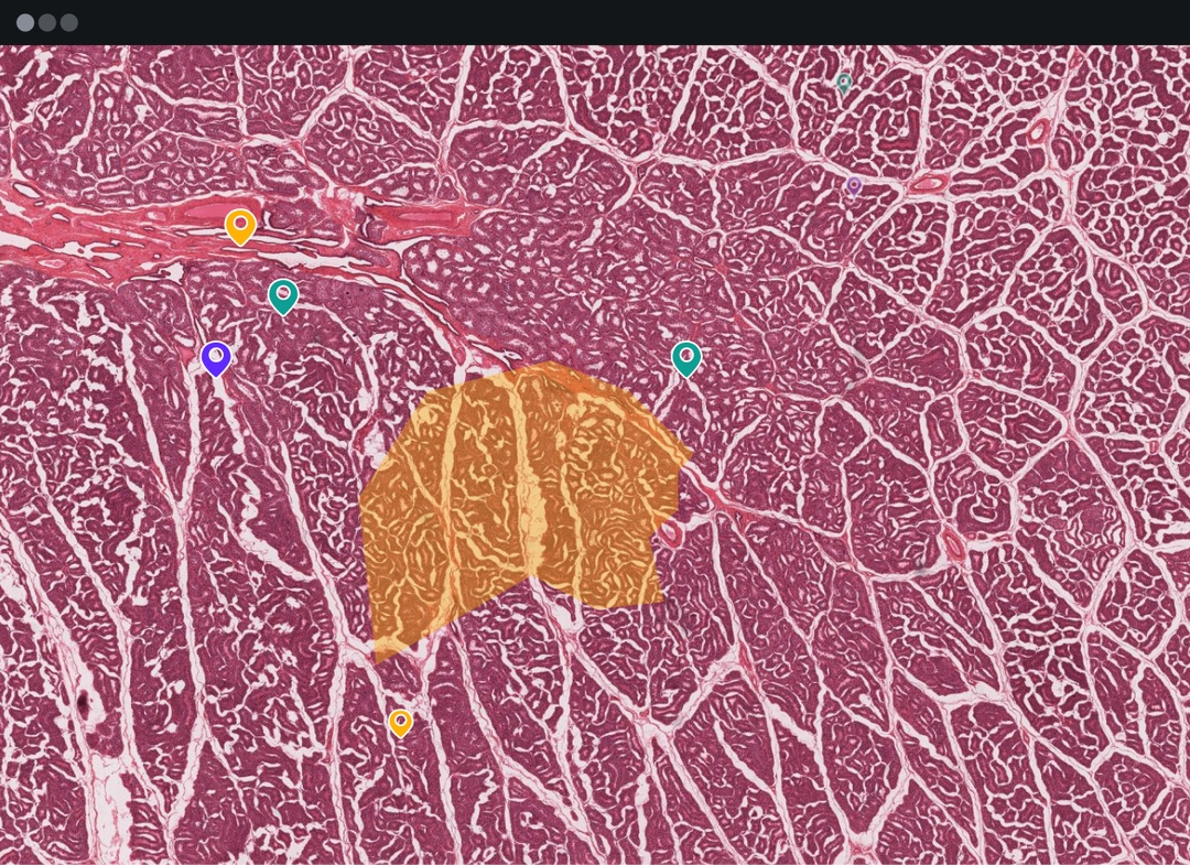 Revolutionising Biomedical Education - Best Network