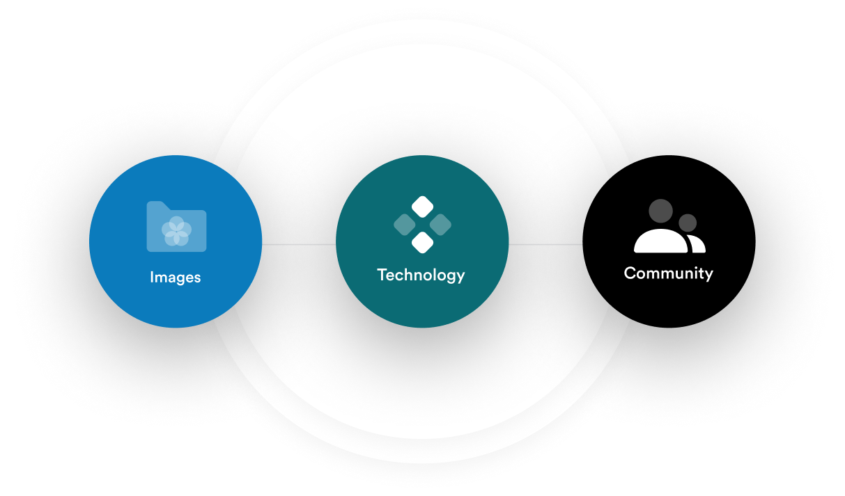 Revolutionising Biomedical Education - Best Network