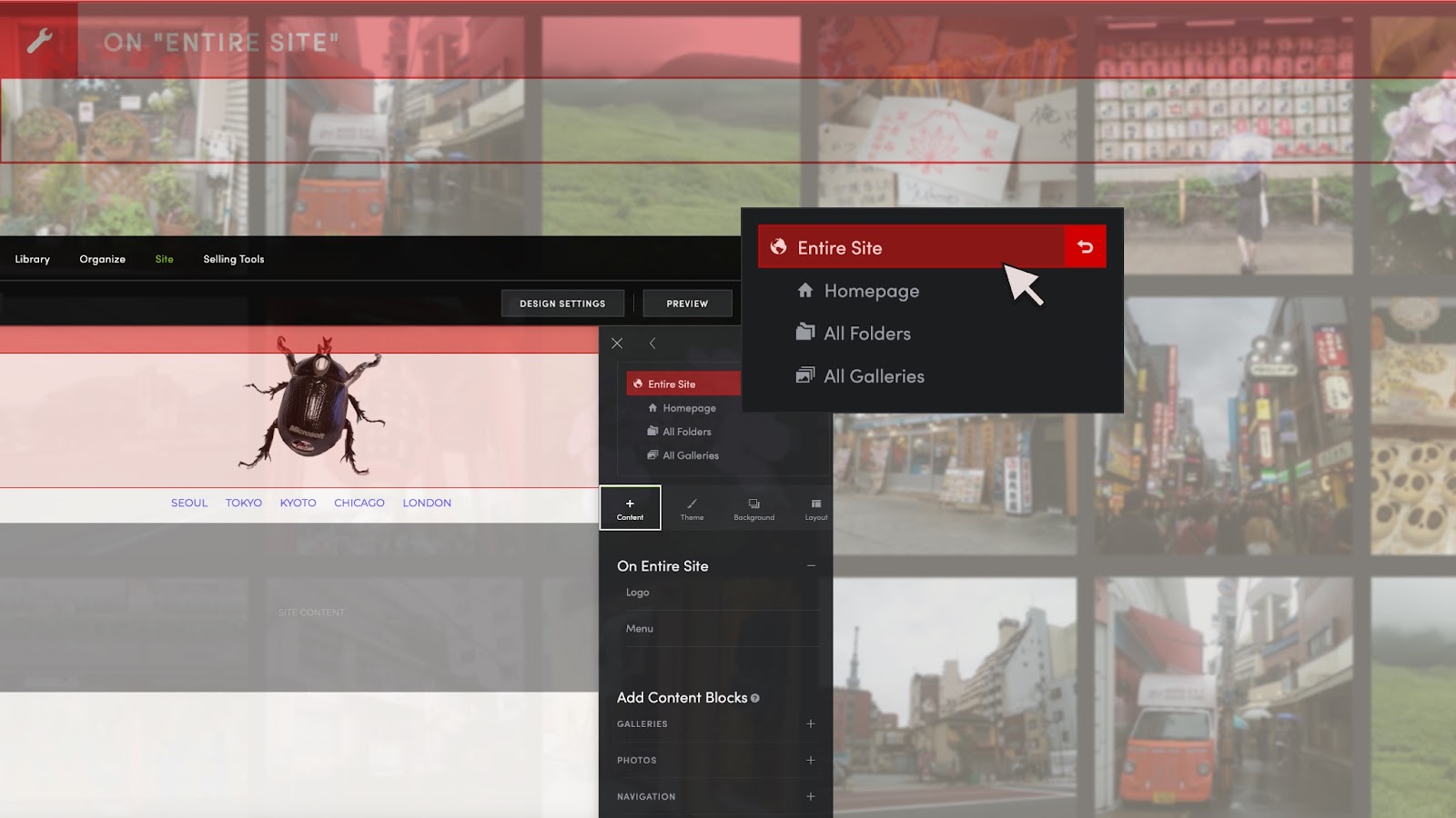 SmugMug Development Lab | Your new SmugMug photo site in 5 minutes or less.