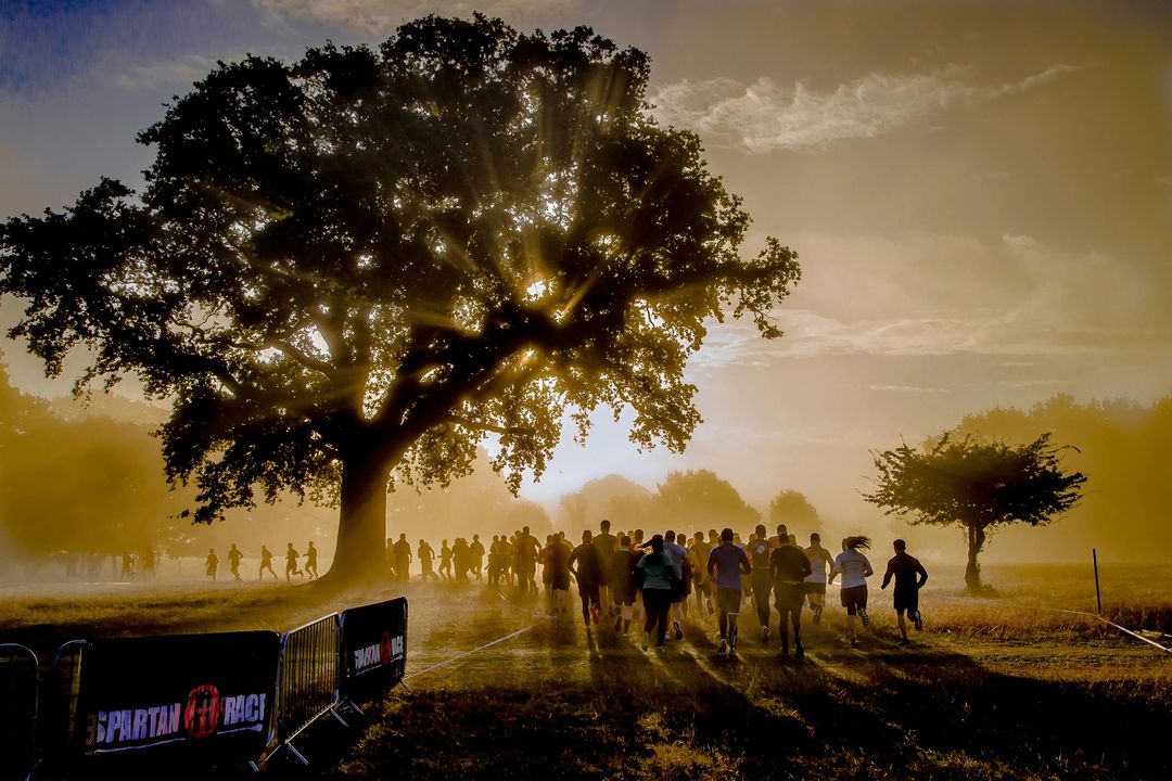 SmugMug Development Lab | Your new SmugMug photo site in 5 minutes or less.