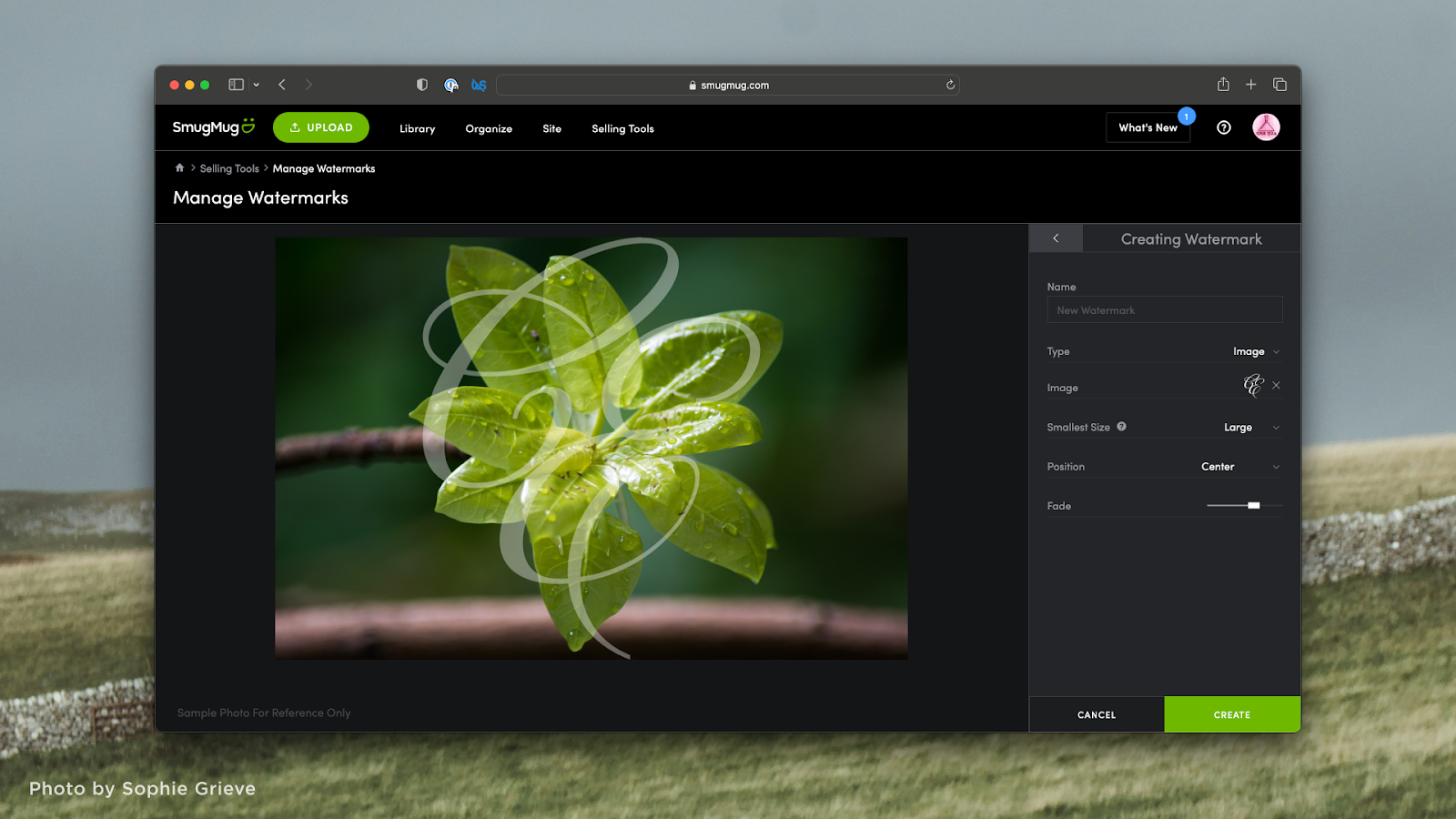 SmugMug Development Lab | Mastering watermarks on SmugMug: Your ...