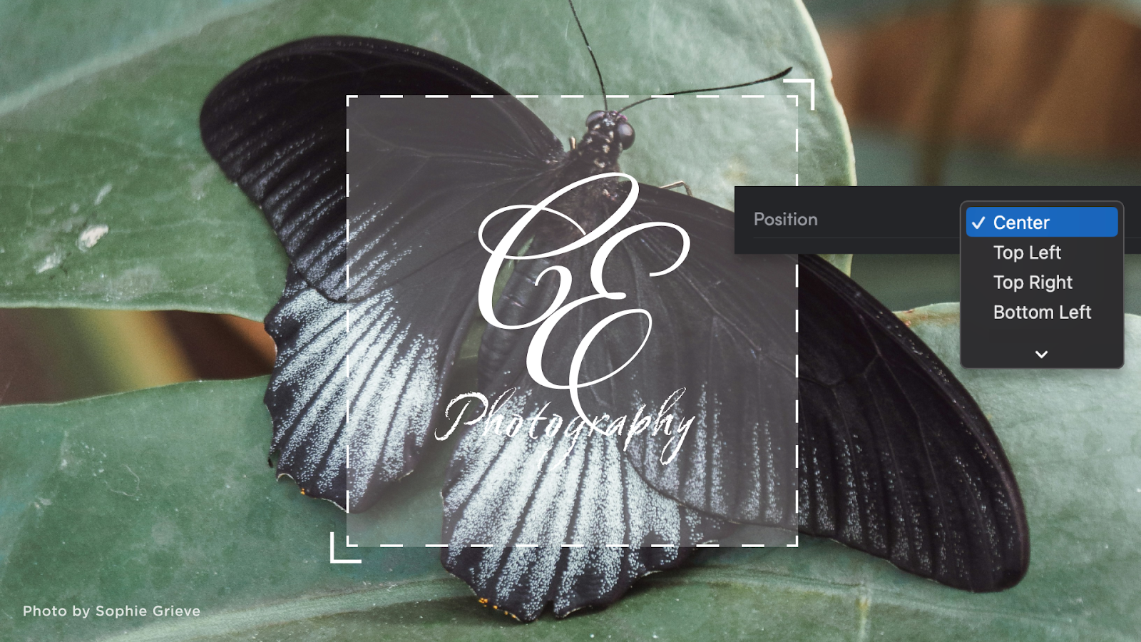 SmugMug Development Lab | Mastering watermarks on SmugMug: Your ...