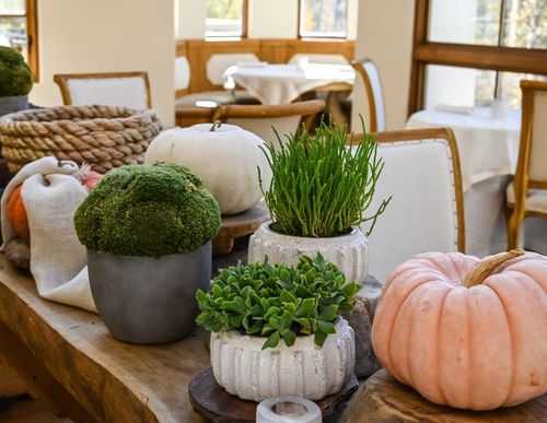 Fall Home Decor Trends For 2022