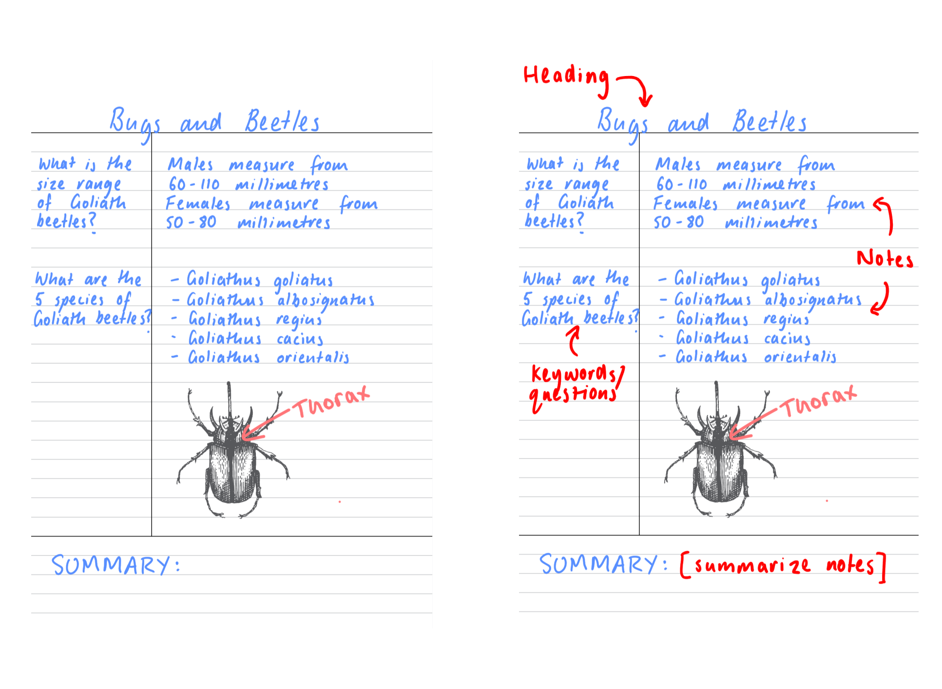 Better note-taking. 6 PDF markup tools and tricks | Drawboard