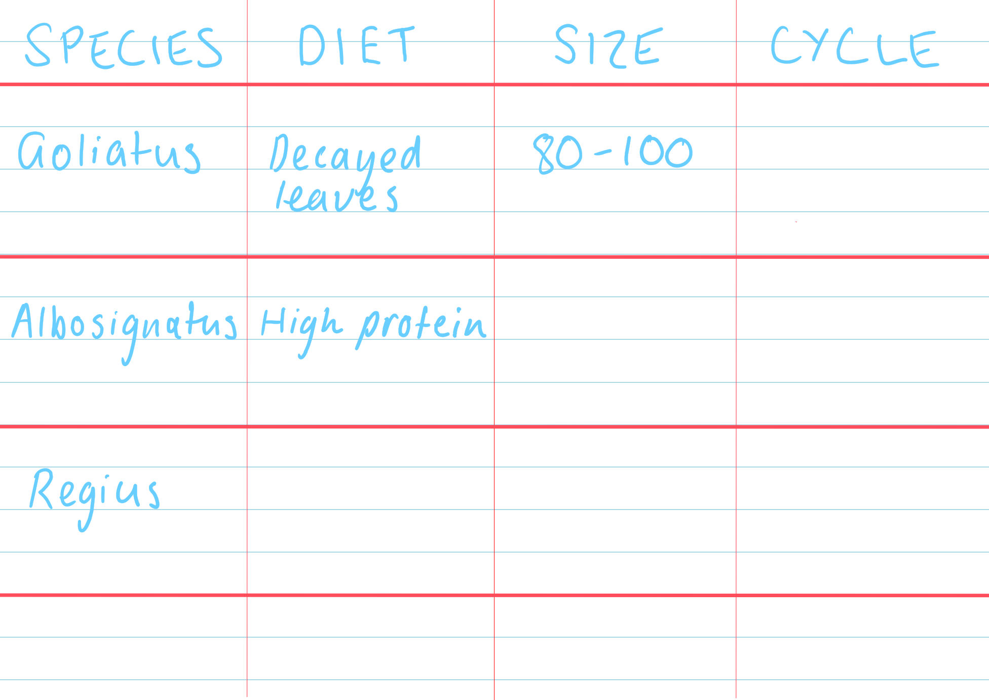 3 note taking styles to simplify study time | Drawboard