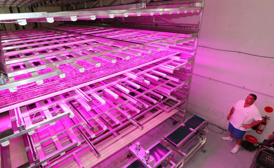 Australia’s first fully automated indoor vertical farm uses Drawboard ...