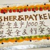 Fisher & Paykel Technologies - 1000 Days of safety at FPT China