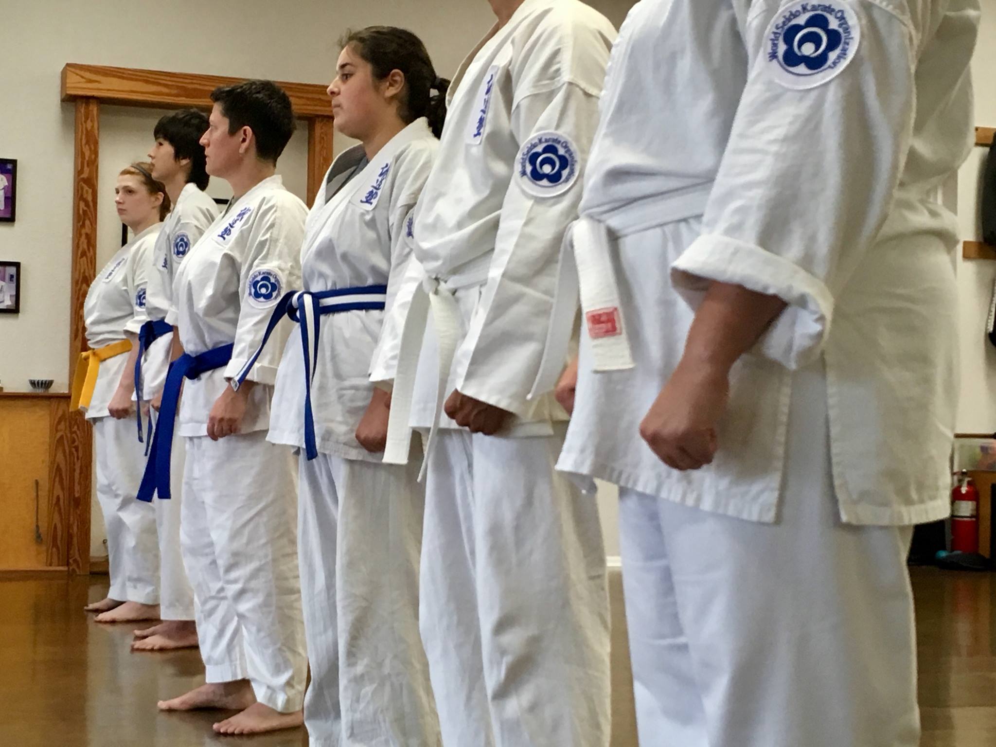 Sun Dragon Martial Arts and Self Defense, NFP