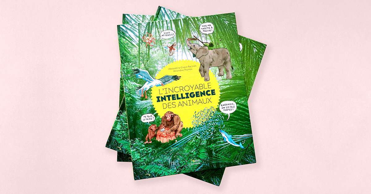 L’incroyable intelligence des animaux | Books by Amandine Thomas