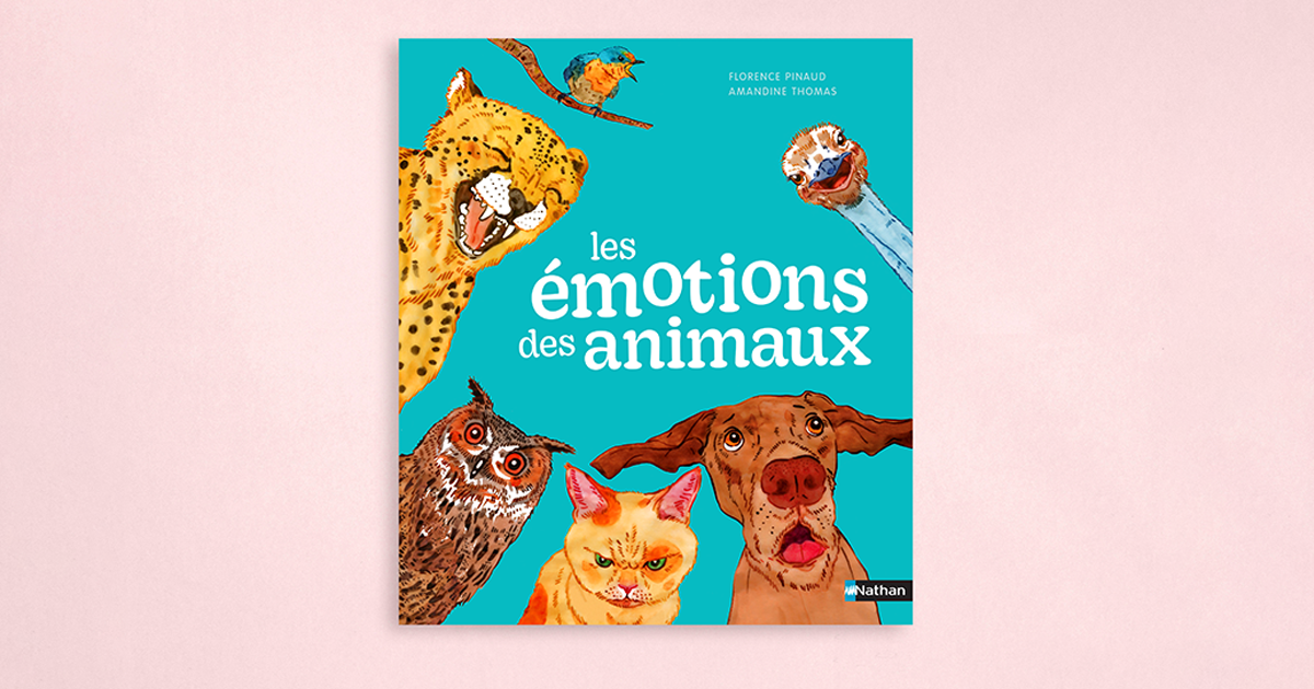 Les Émotions des Animaux | Books by Amandine Thomas