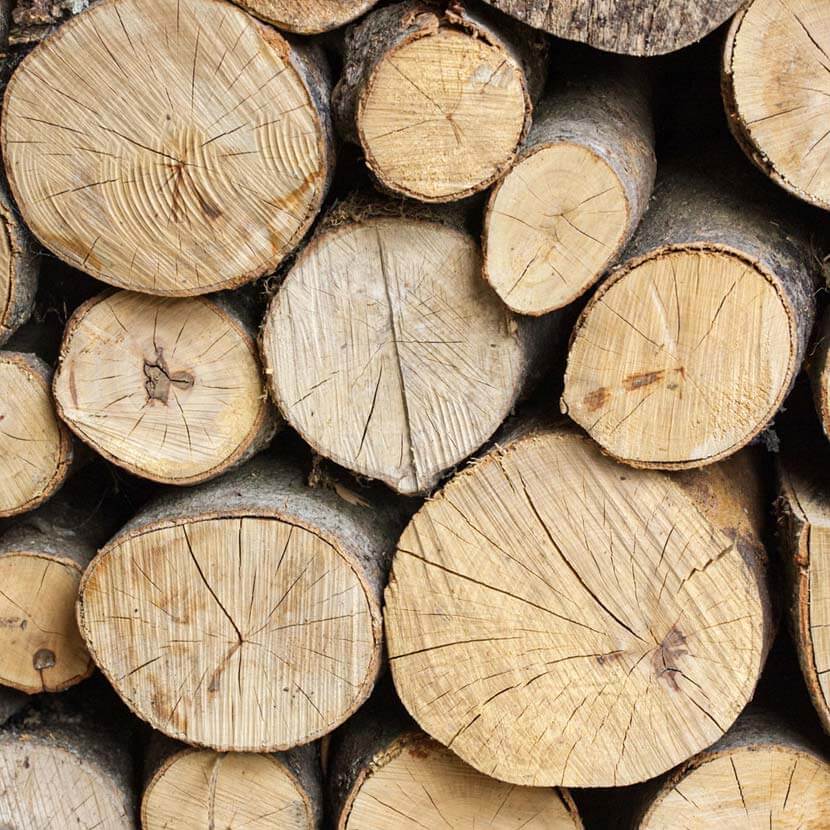 WP Hardwood, an Aberdeenshire based hardwood supplier.