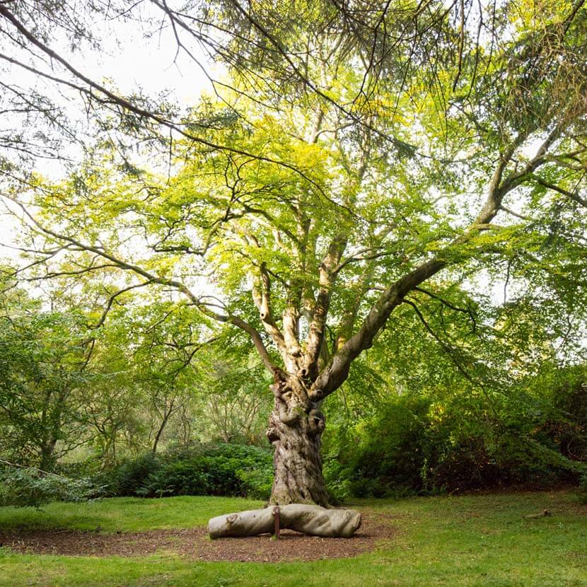 WP Hardwood, an Aberdeenshire based hardwood supplier.