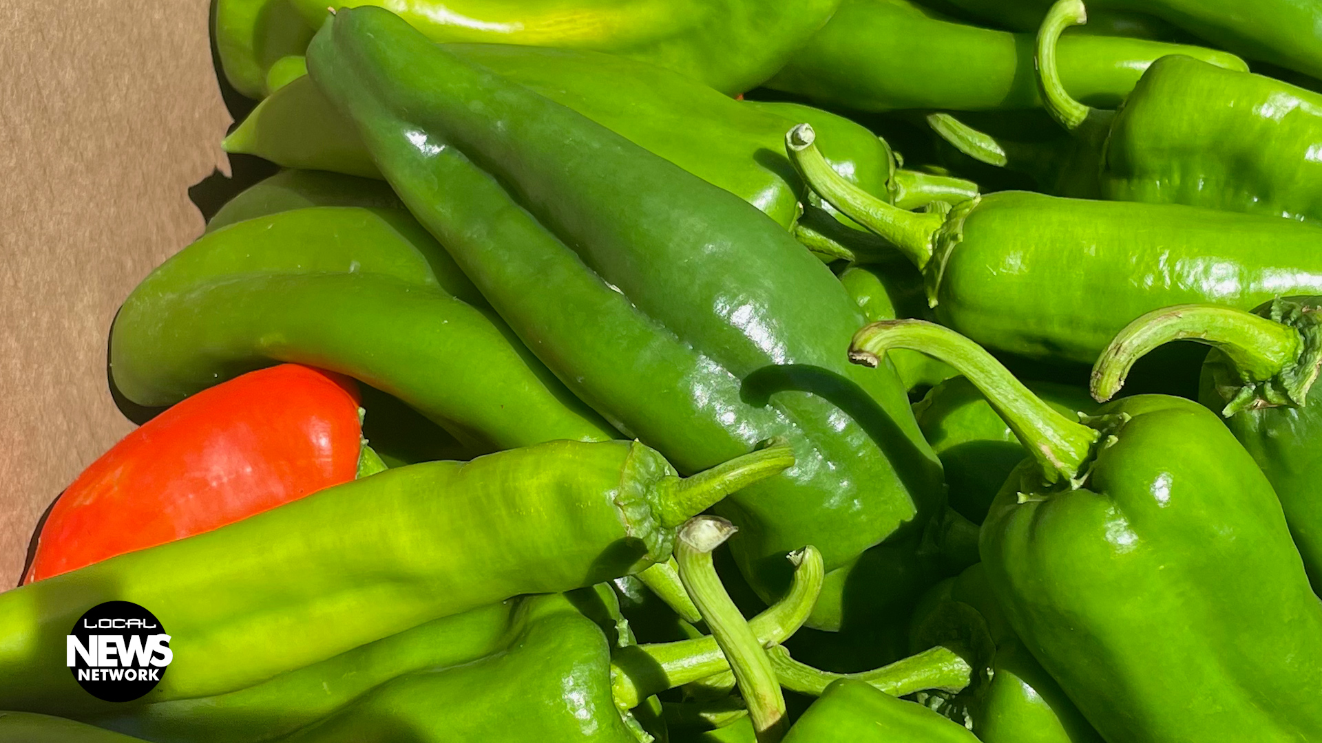 Navajo Nation Sells Produce to Whole Foods 9/14/2022