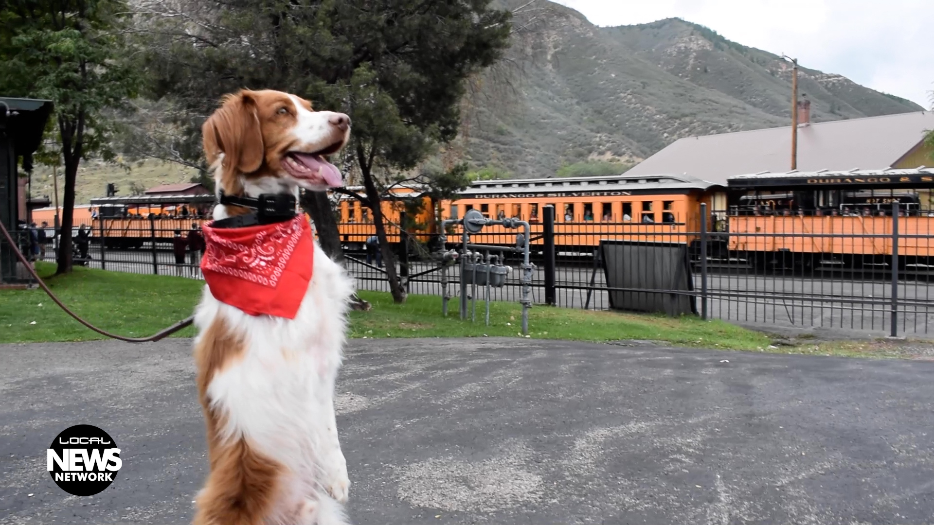 Overcoming Adversity with Three Legs 10/10/2022