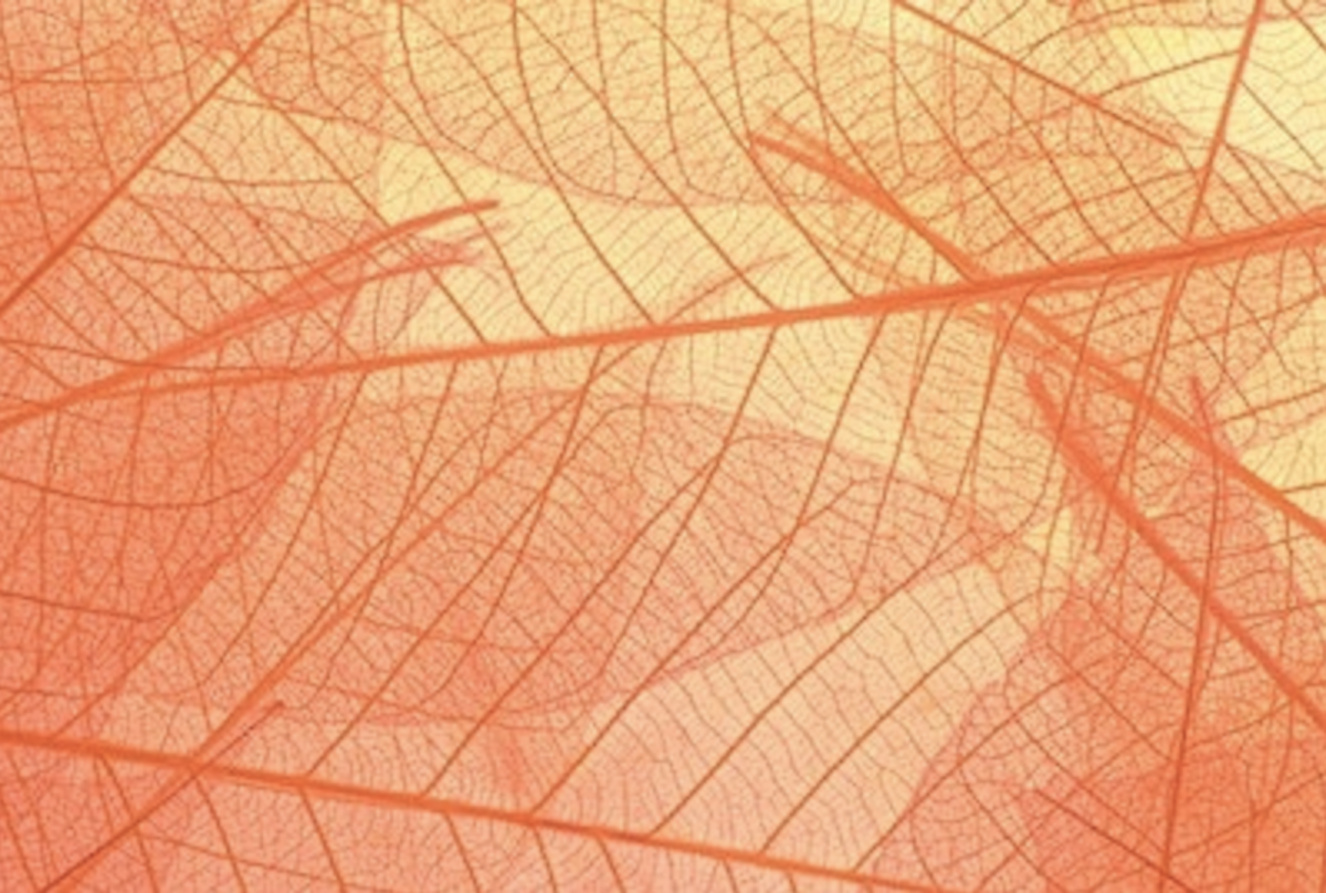 Free SEO Templates from the SEO Community: Kickoff & Improve SEO Work