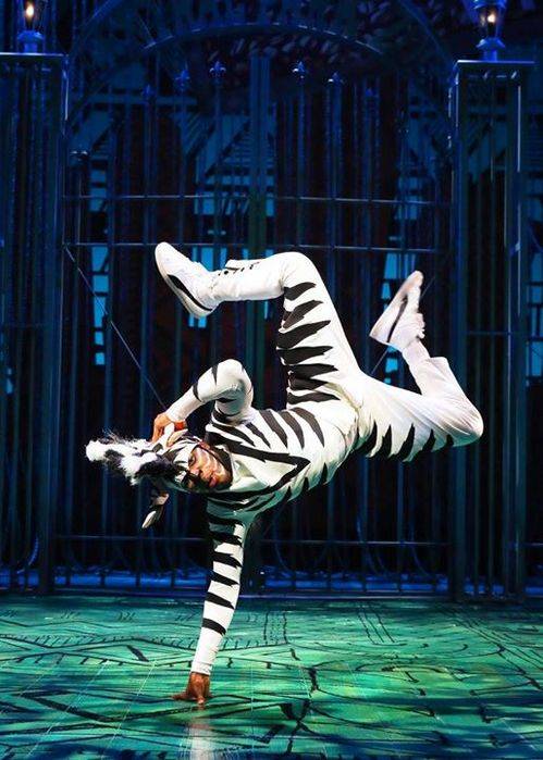 Madagascar: A Musical Adventure | Rentals