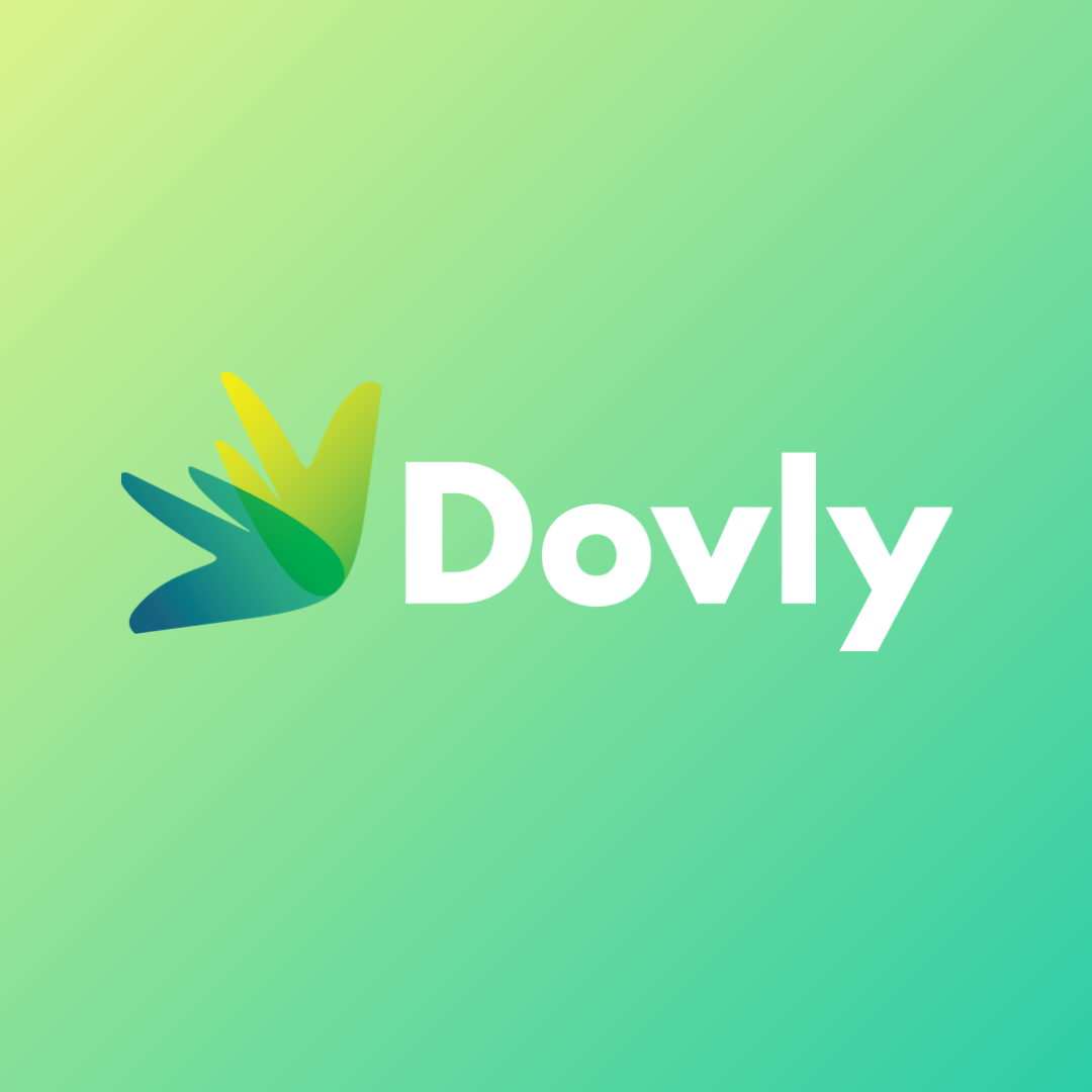 Top 20 Credit Repair Dos and Don’ts • Blog | Dovly
