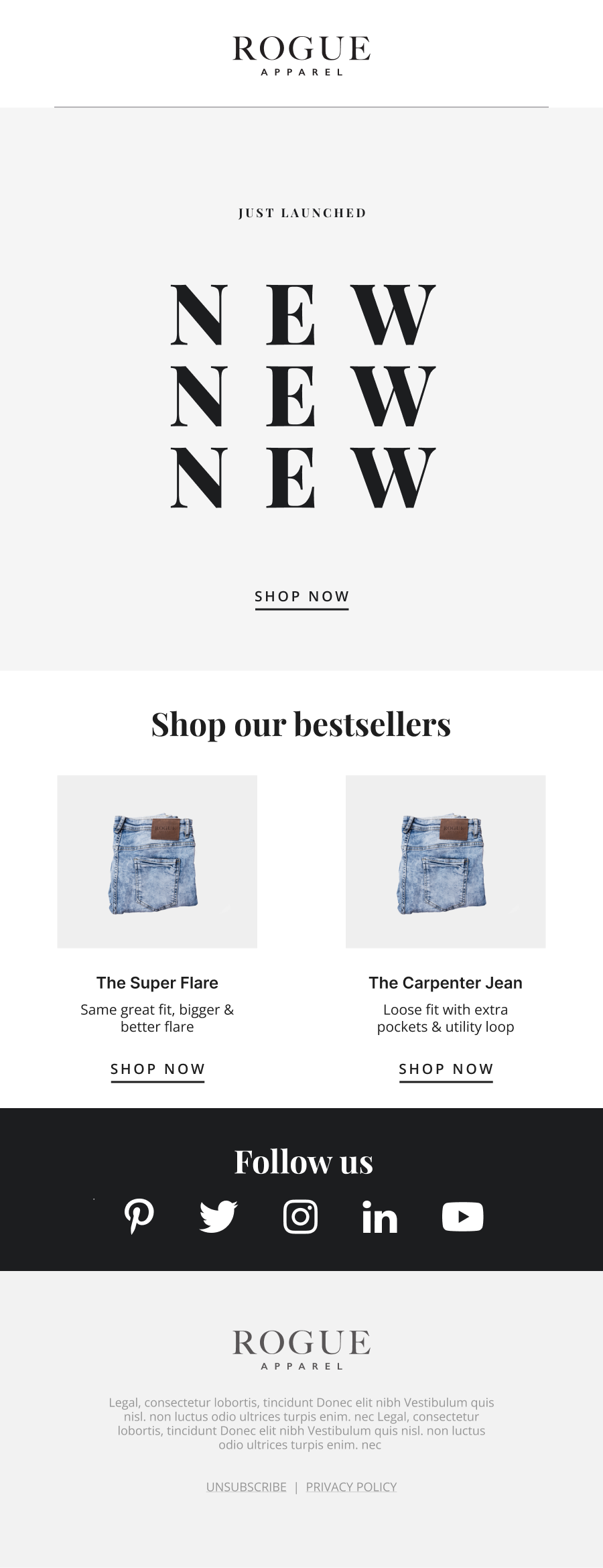 Product Launch Newsletter Email Template | Sendlane