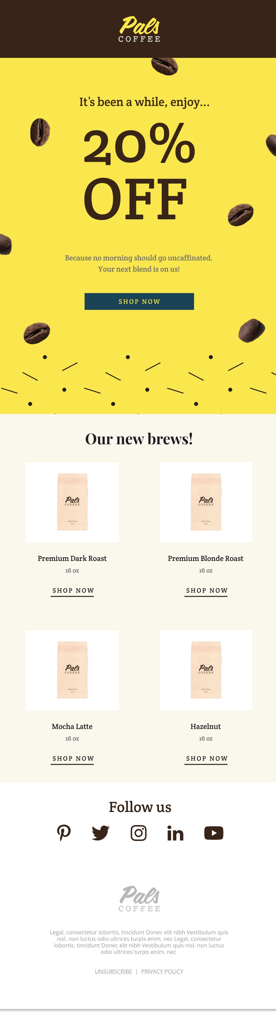 Product Recommendations Newsletter Email Template | Sendlane