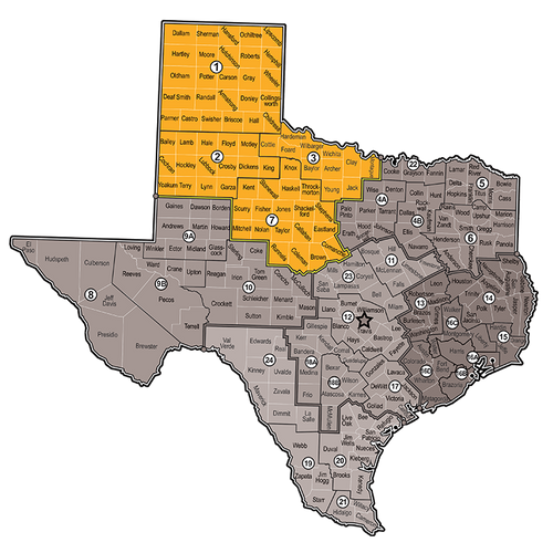Texas Division of Emergency Management