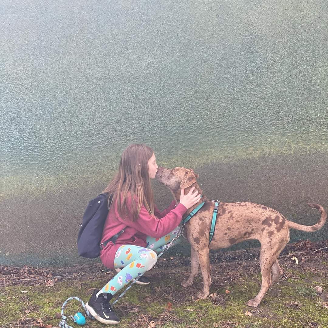 Street Savvy Dog Rescue