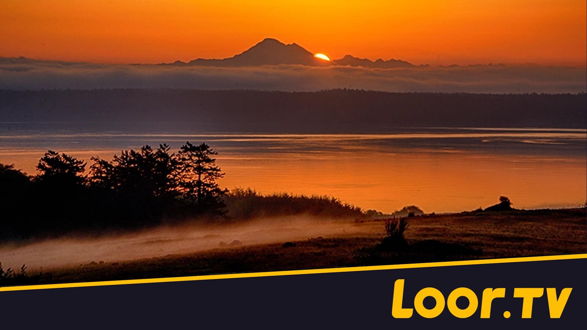 Beautiful Tech Development