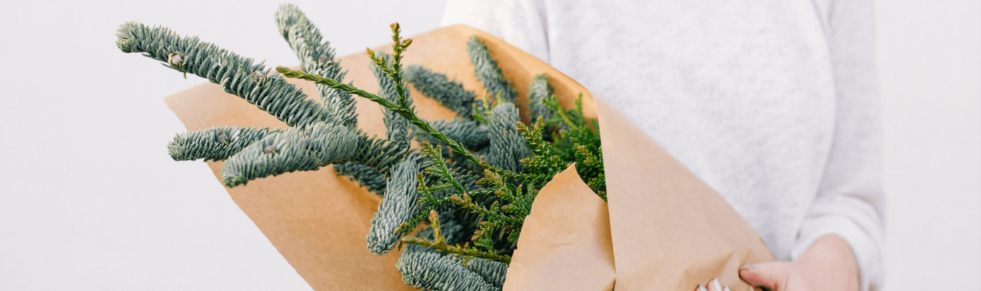 How to Get Rid of Indoor Odors & Bad Smells | Second Nature