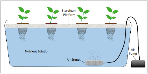 Everything You Need to Know about Hydroponic Indoor Growing Systems