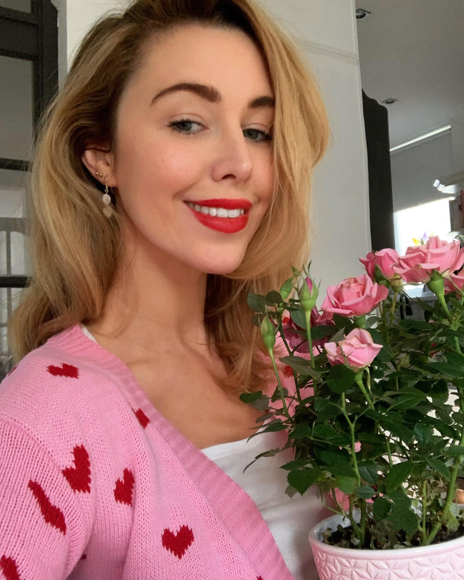 How To Plant Your Valentine Miniature Rose Bushes Outside