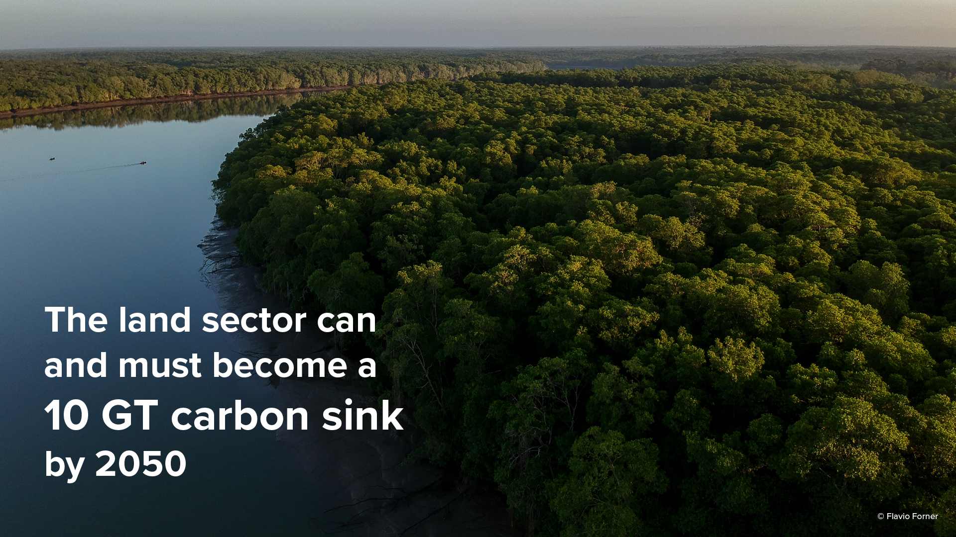 Path to safe climate goes through nature — and now there’s a roadmap