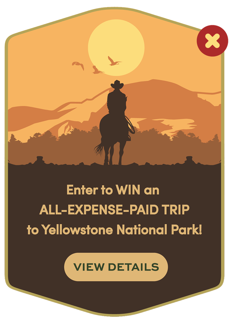 Chamberlin Inn - Cody, Wyoming Boutique Hotel