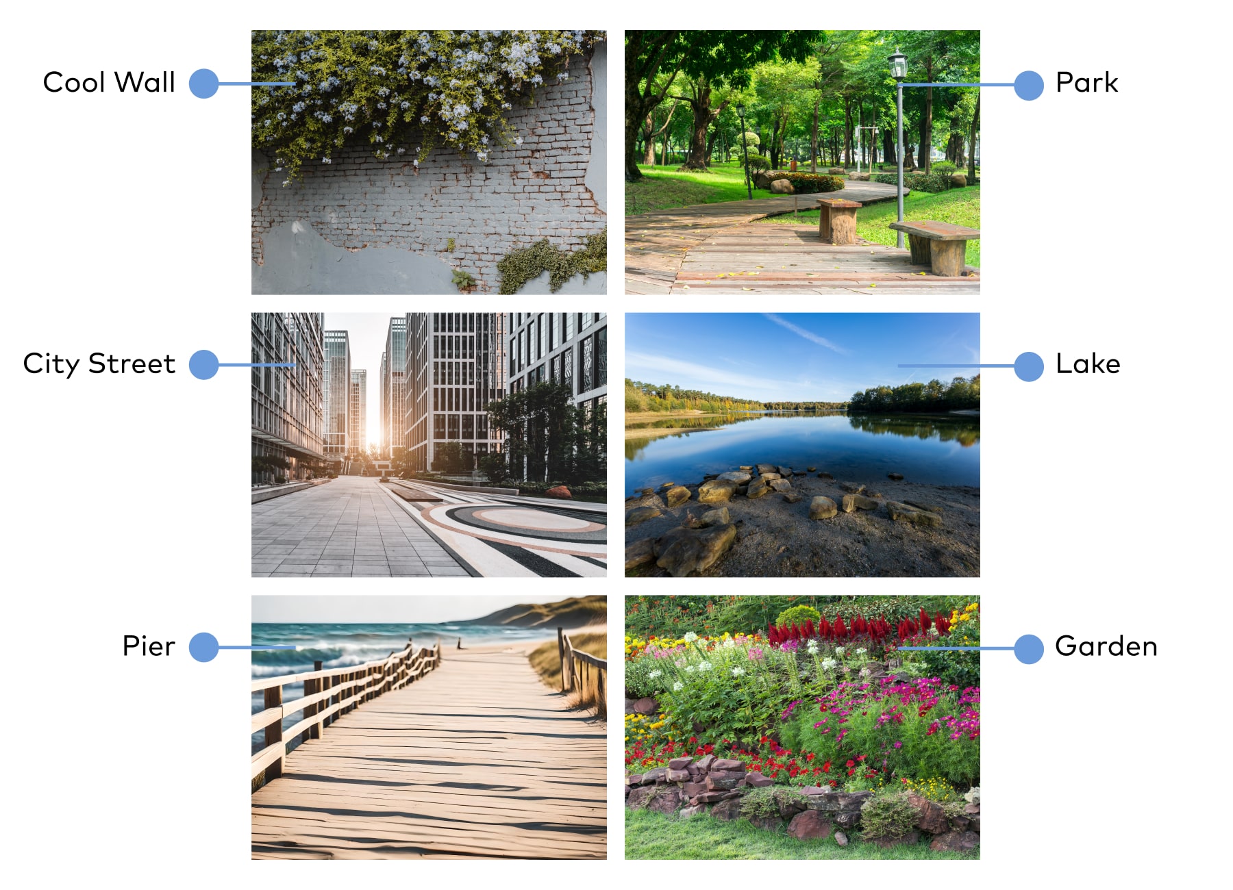 Guide to Outdoor Professional Headshots