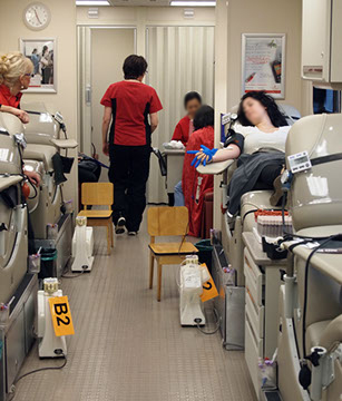 Blood Donor Bed Gallery | Arlington Scientific