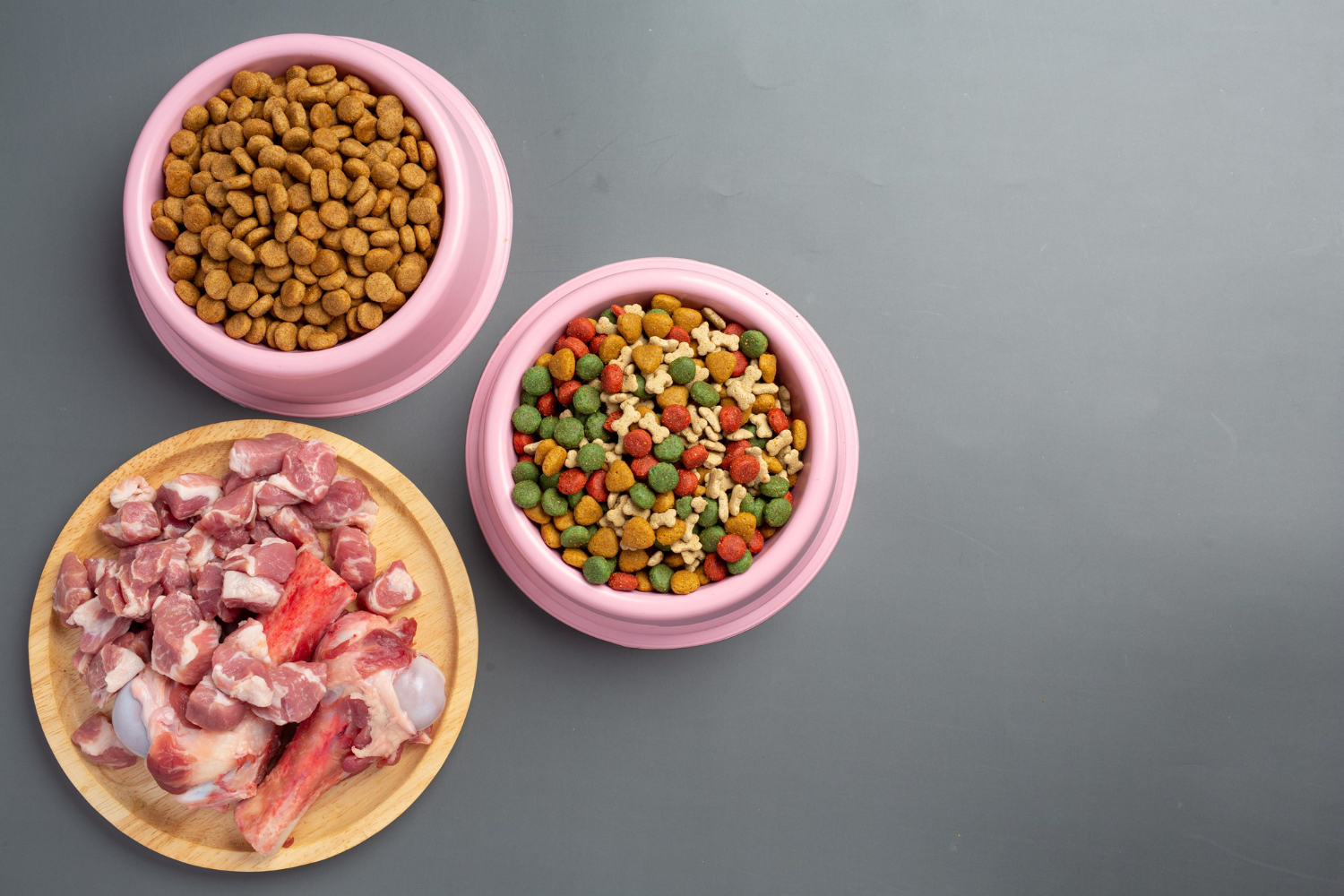 Pet Nutrition: Balancing Your Pet's Homemade Meals - Visit Lakeshore ...