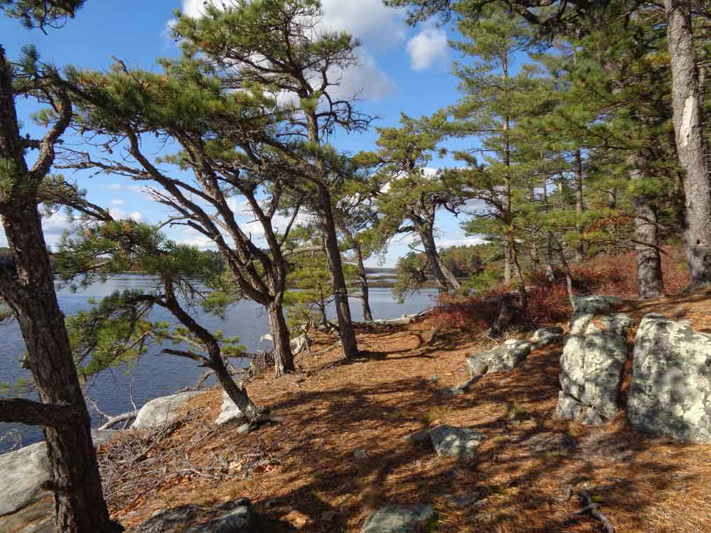 Bonyun Preserve | Squire Tarbox Inn