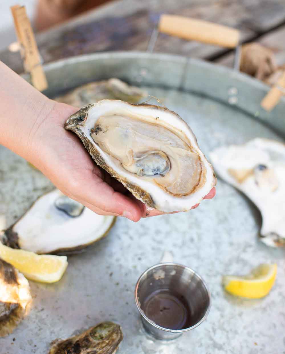 Getaway To Westport Island & Edgecomb | Squire Tarbox Inn