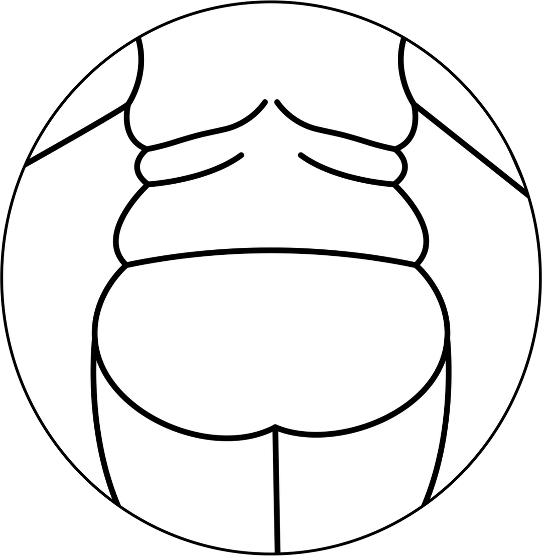 Minden Med Spa | Medical Spa Lake Tahoe