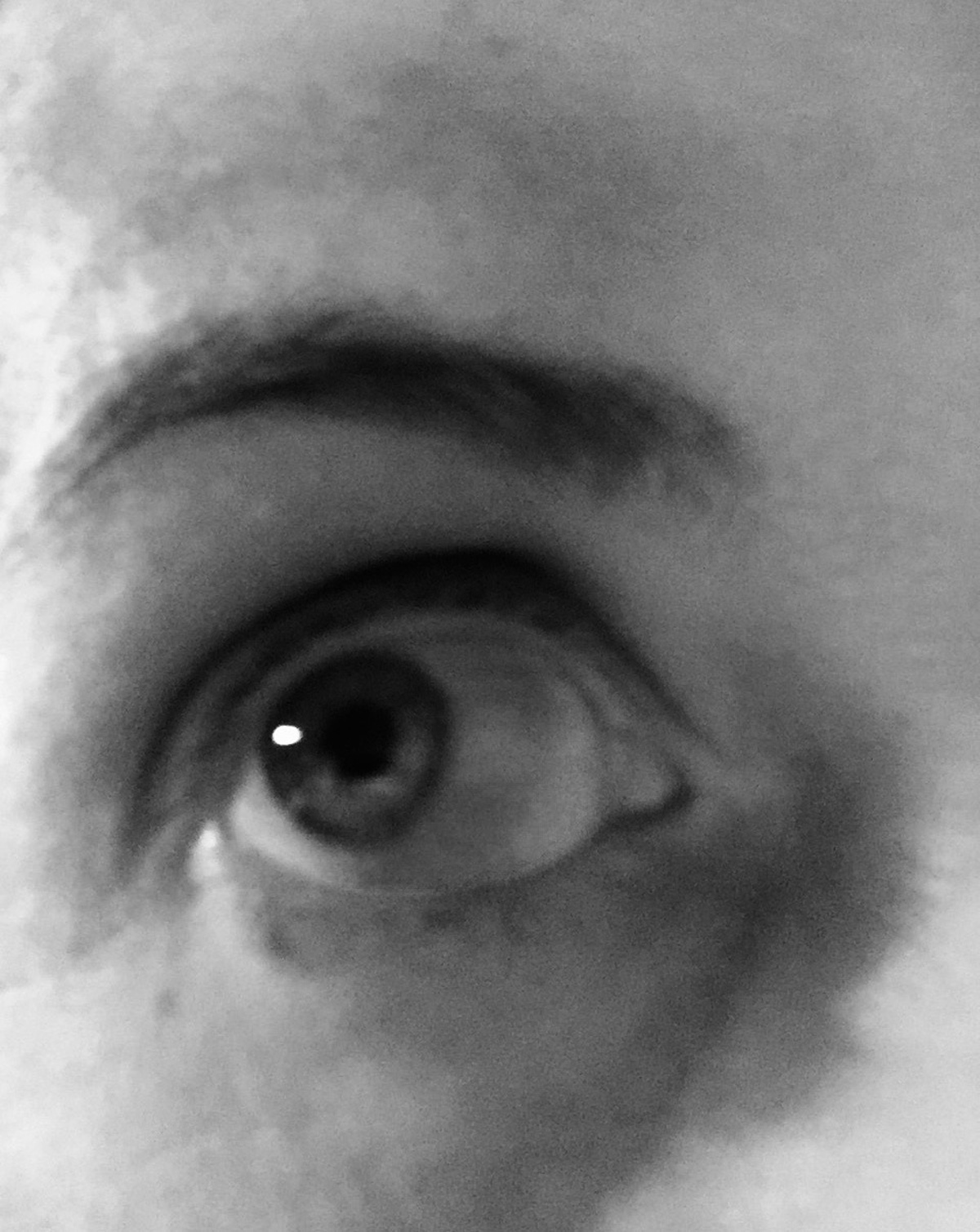 The Observer Effect in Quantum Theory