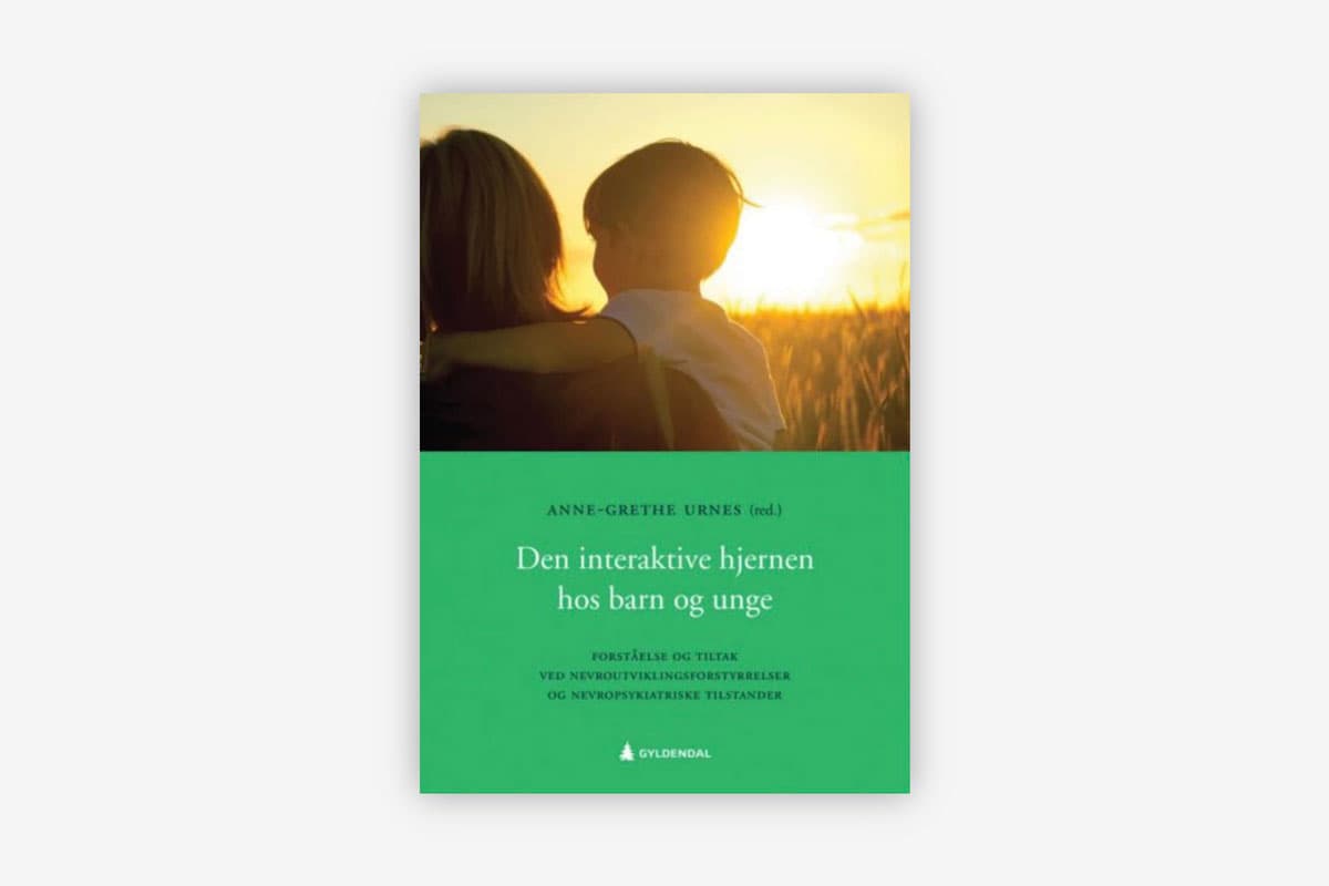 Den interaktive hjernen hos barn og unge