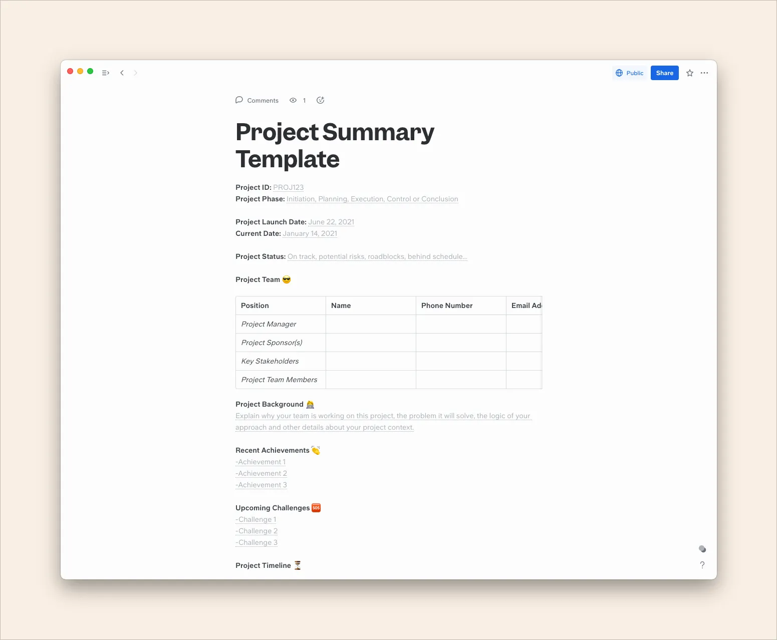 How to Create a Project Summary in 2022 + A Free Template