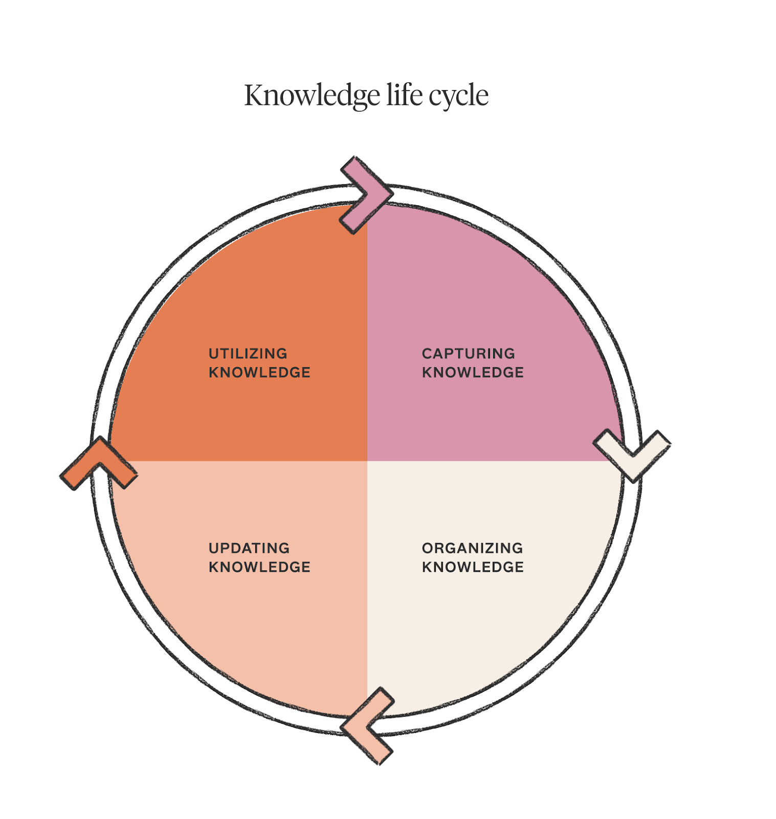 The knowledge life cycle has 4 steps.
