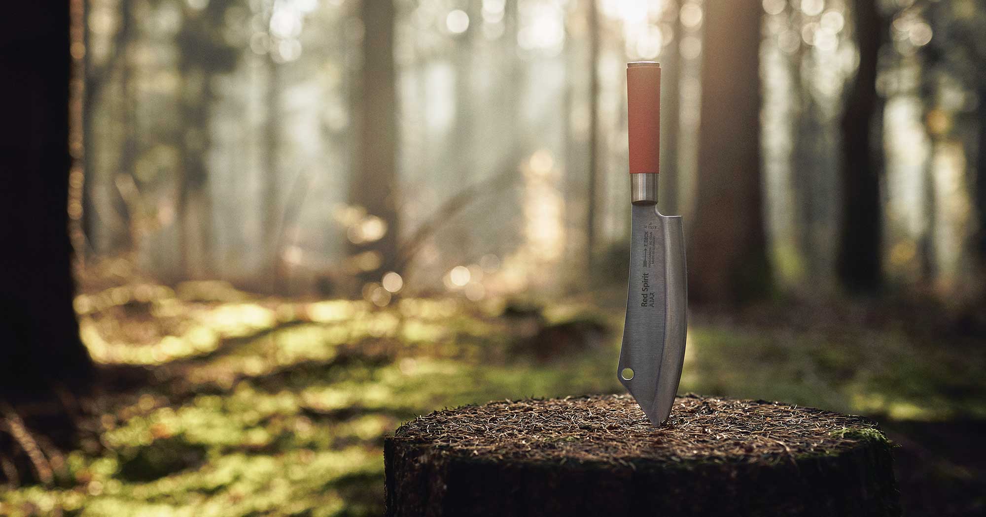 Europe ByDesign: Innovations | Red Spirit Ajax